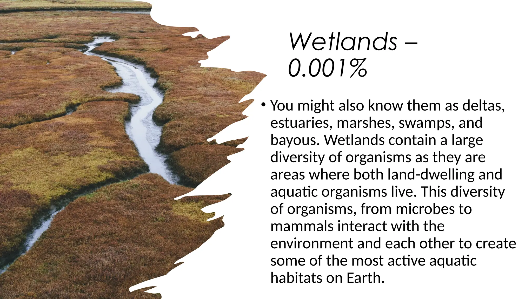 Earth's Water earth and life science.pptx