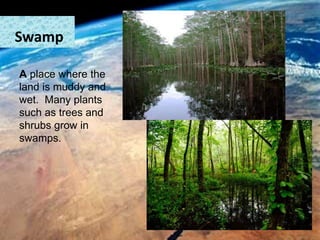 Earth’s water forms | PPTX