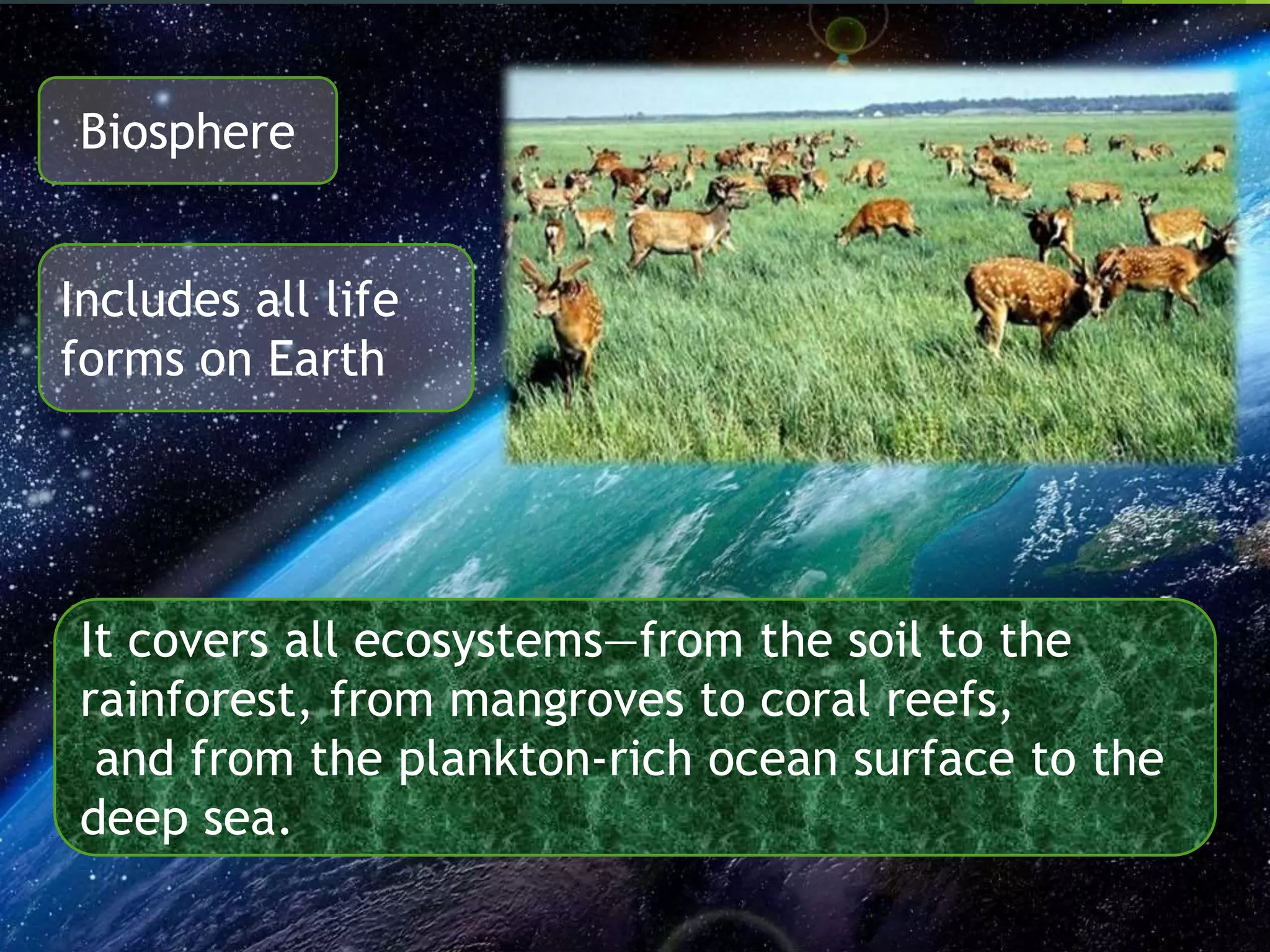 Grade 11 Earth & Life Science (Earth System & Subsystems) | PPTX