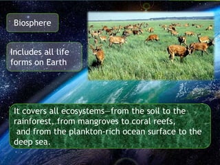 Grade 11 Earth & Life Science (Earth System & Subsystems) | PPTX