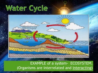 Grade 11 Earth & Life Science (Earth System & Subsystems) | PPTX