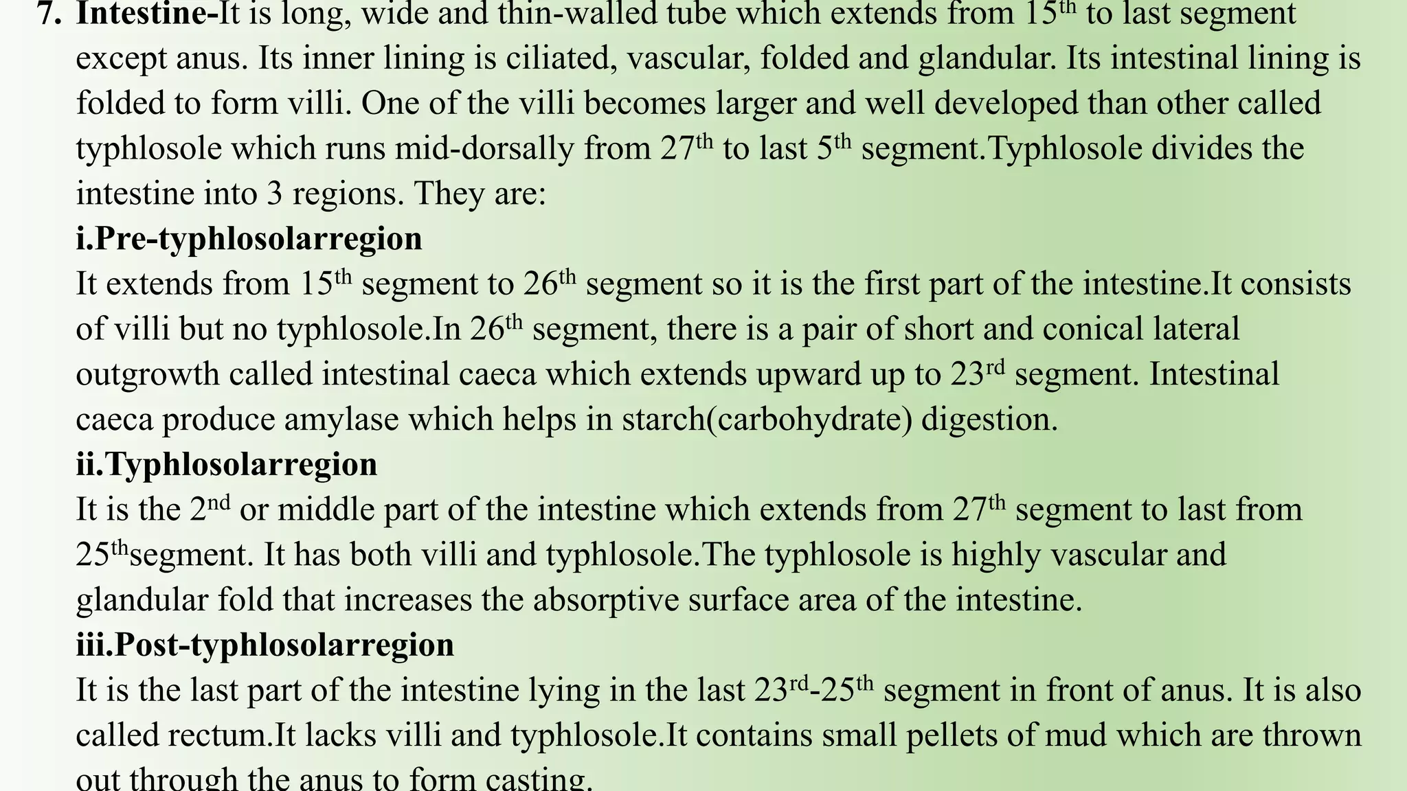 Earthwarm digestive system | PPTX