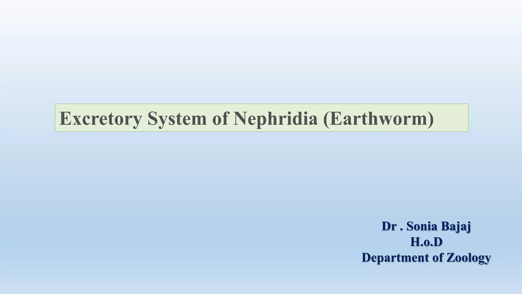 Earthwarm excretory systeam | PPTX