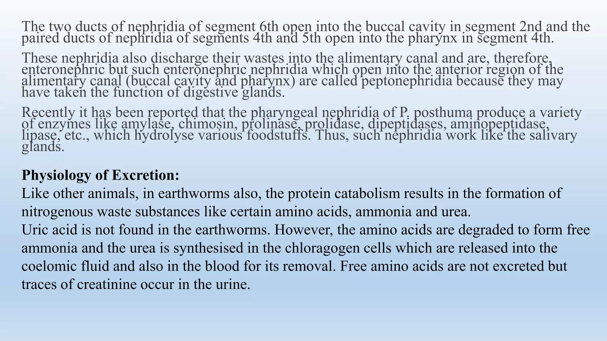 Earthwarm excretory systeam | PPTX