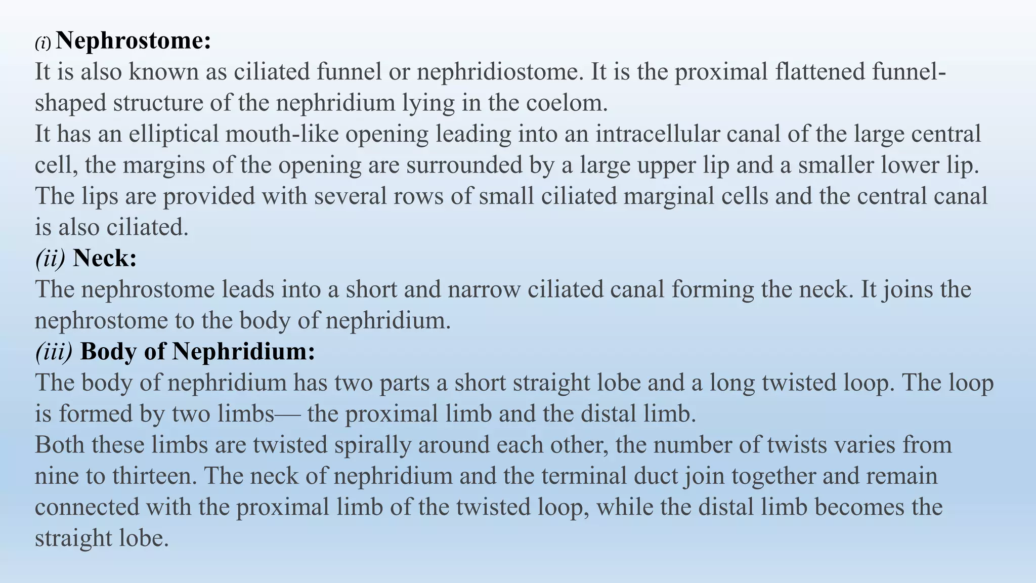 Earthwarm excretory systeam | PPTX