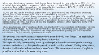 Earthwarm excretory systeam | PPTX