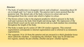 Earthwarm external feature | PPT