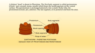 Earthwarm external feature | PPT
