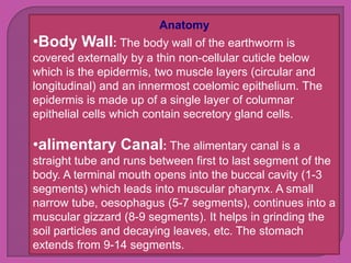 Earthworm | PPTX
