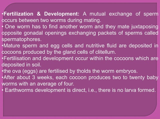 Earthworm | PPTX | Digestive Disorders | Diseases and Conditions