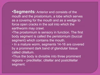 Earthworm | PPTX