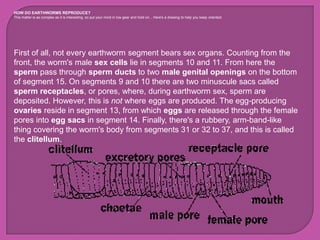 Earthworm | PPTX