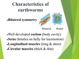 Earthworm | PPT
