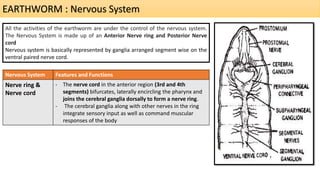 Earthworm | PPT | Free Download