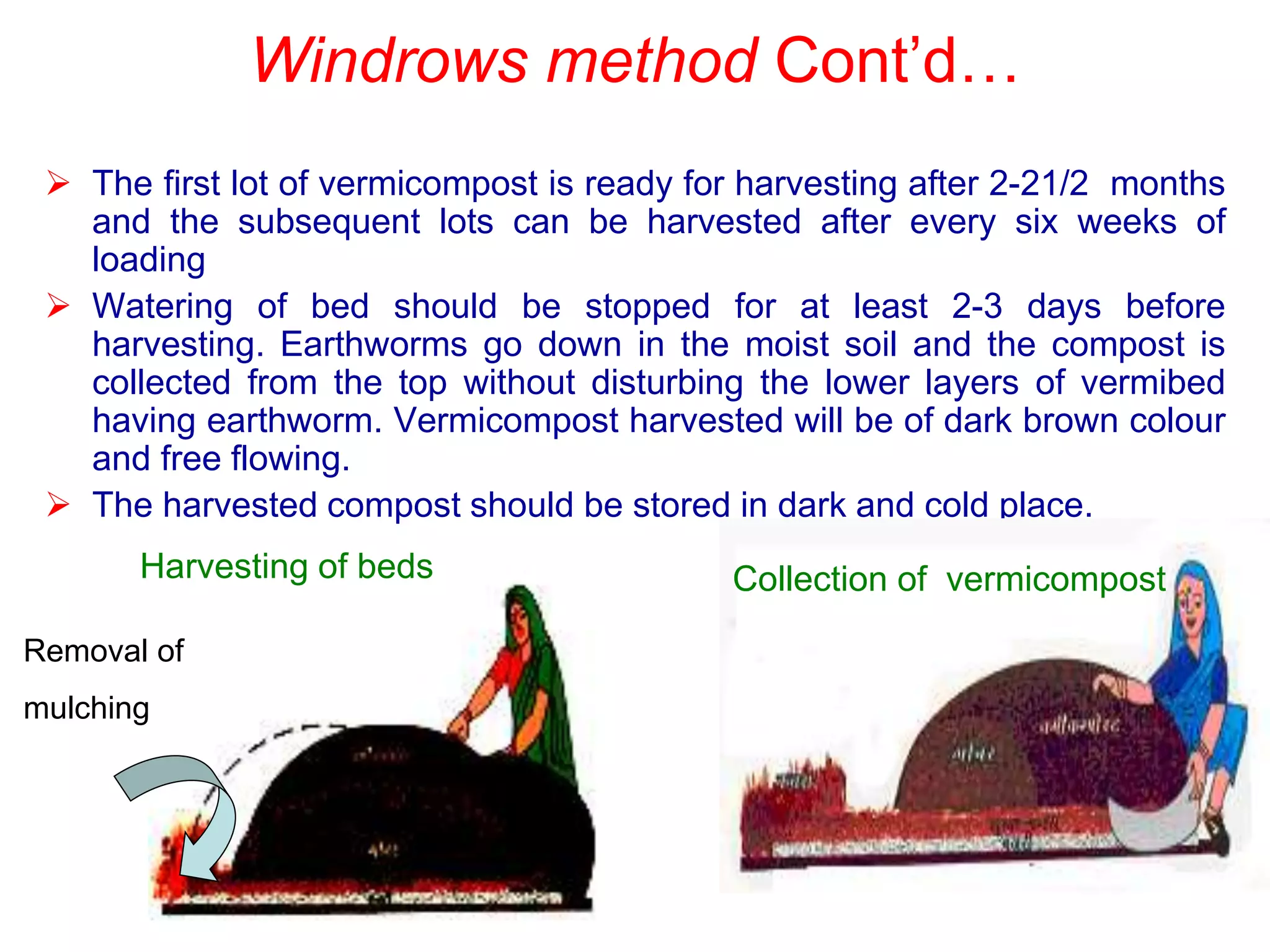 Earthworm.ppt