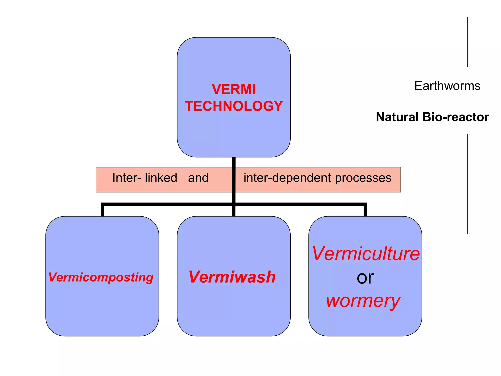 Earthworm.ppt
