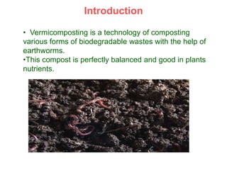 Earthworm.ppt