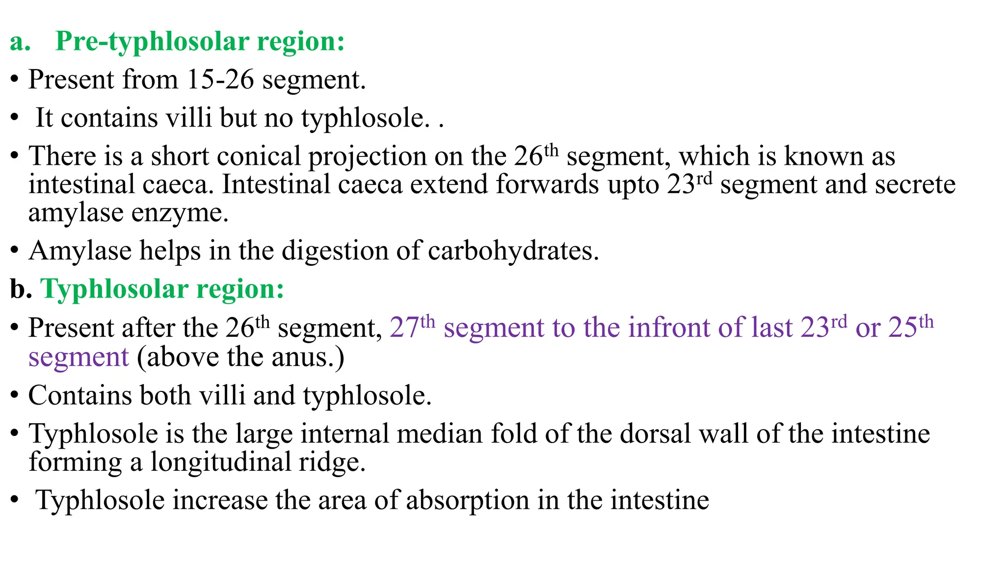 Detail study of Earthworm for class 11 NEB B | PPTX