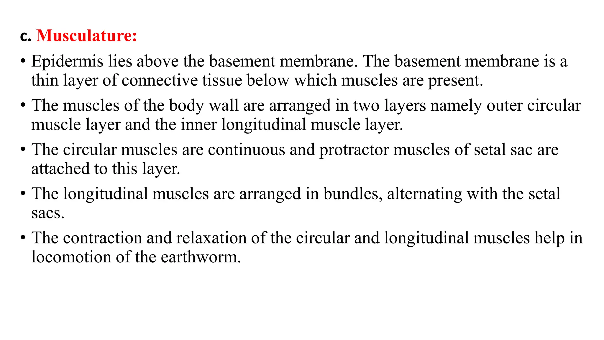 Detail study of Earthworm for class 11 NEB B | PPTX