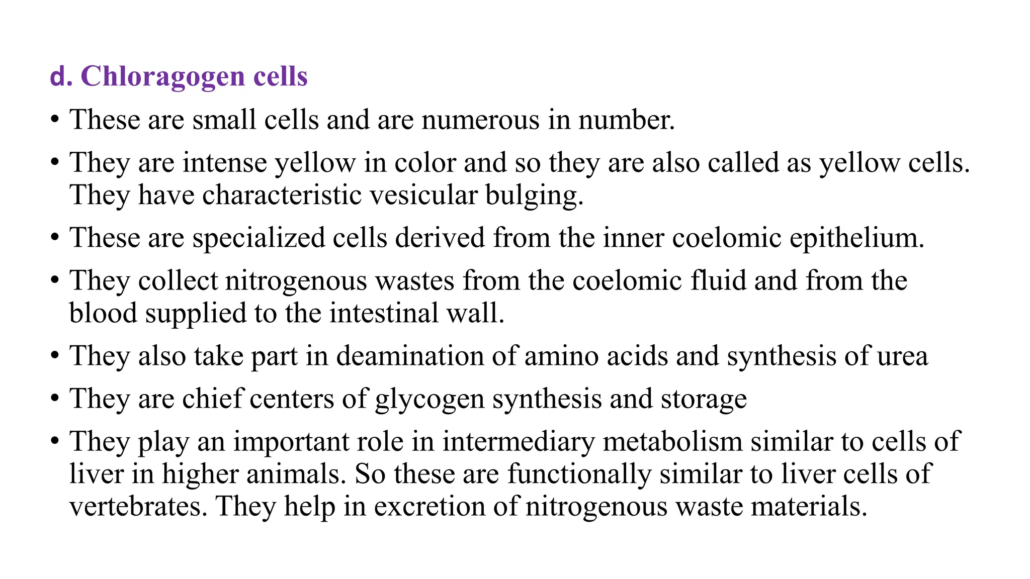 Detail study of Earthworm for class 11 NEB B | PPTX