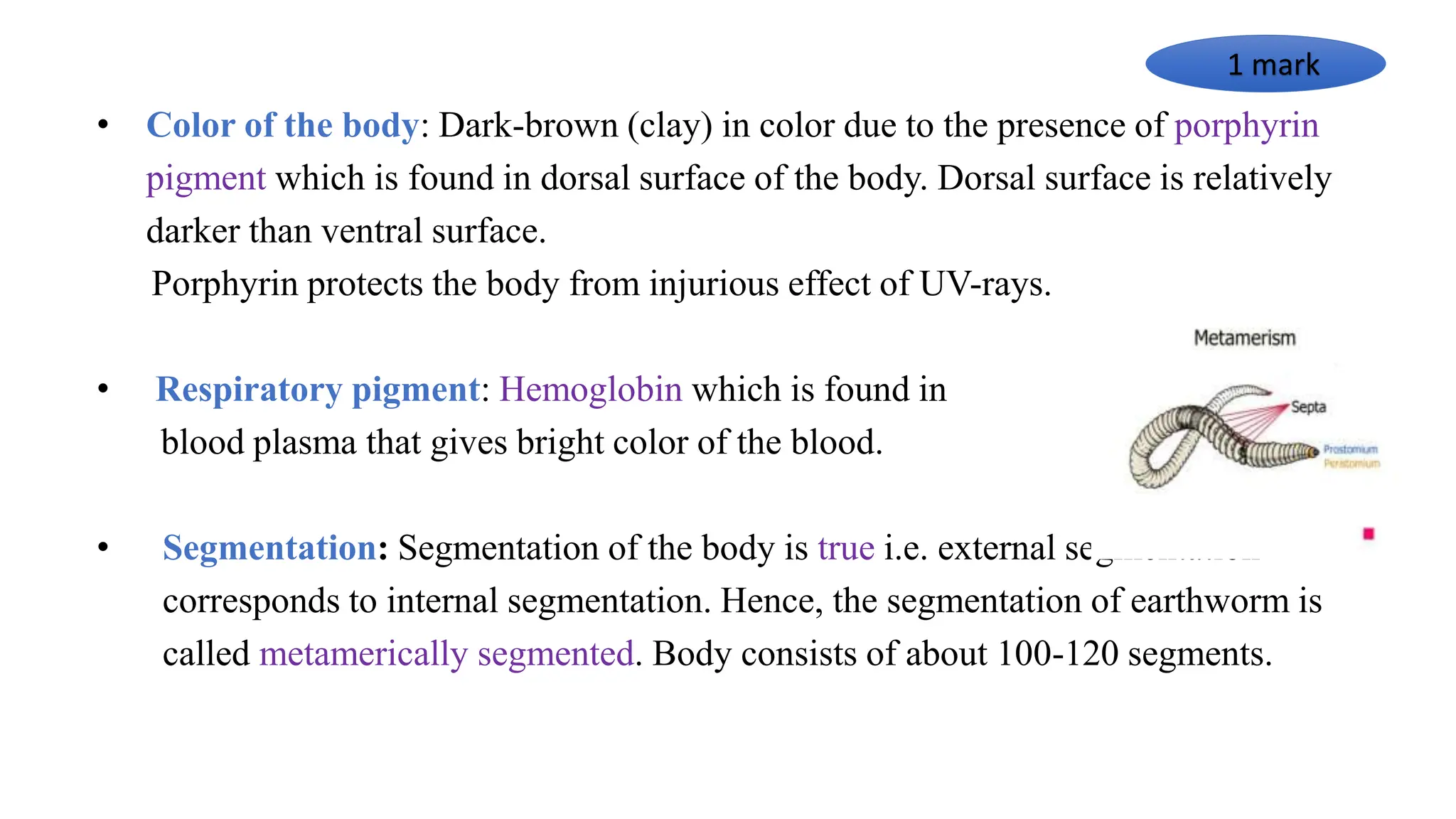 Detail study of Earthworm for class 11 NEB B | PPTX