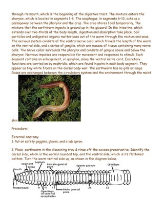 Earthworm Dissection | PDF