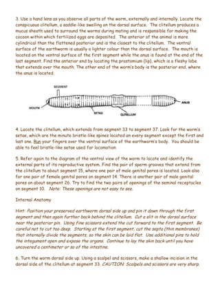 Earthworm Dissection | PDF