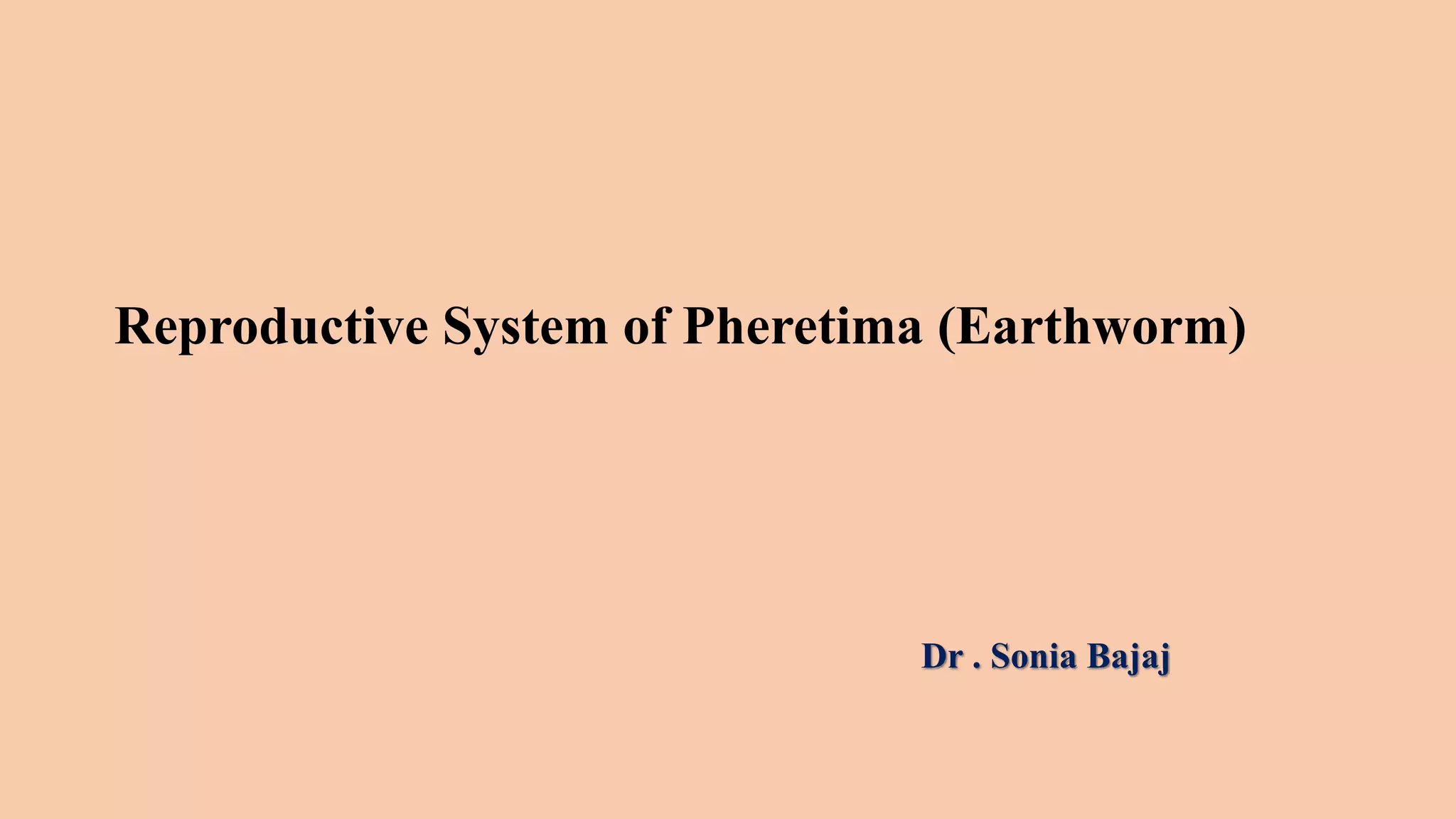 Earthworm reproduction | PPT