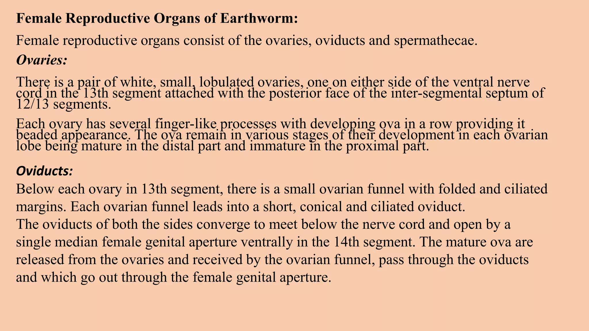 Earthworm reproduction | PPTX