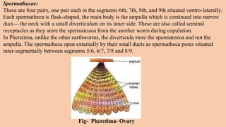 Earthworm reproduction | PPTX