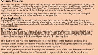 Earthworm reproduction | PPTX