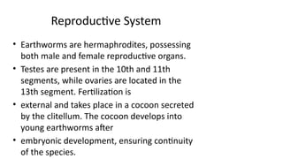 BIOLOGY OF EARTHWORM presentation ppt with labelled idagrams | PPTX