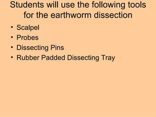 Earthworm dissection 001 | PPT