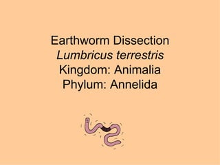 Earthworm Dissection | PPT