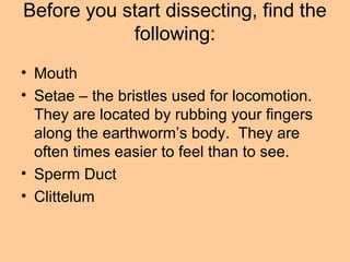 Earthworm dissection 001 | PPT | Geology | Science