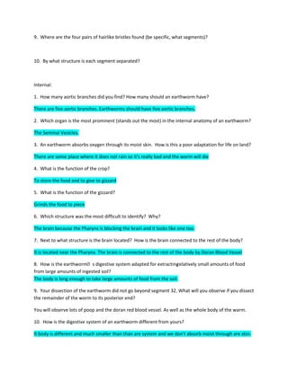 Earthworm dissection lab | DOCX