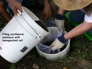 Earthworms as Eco-engineers | PPT