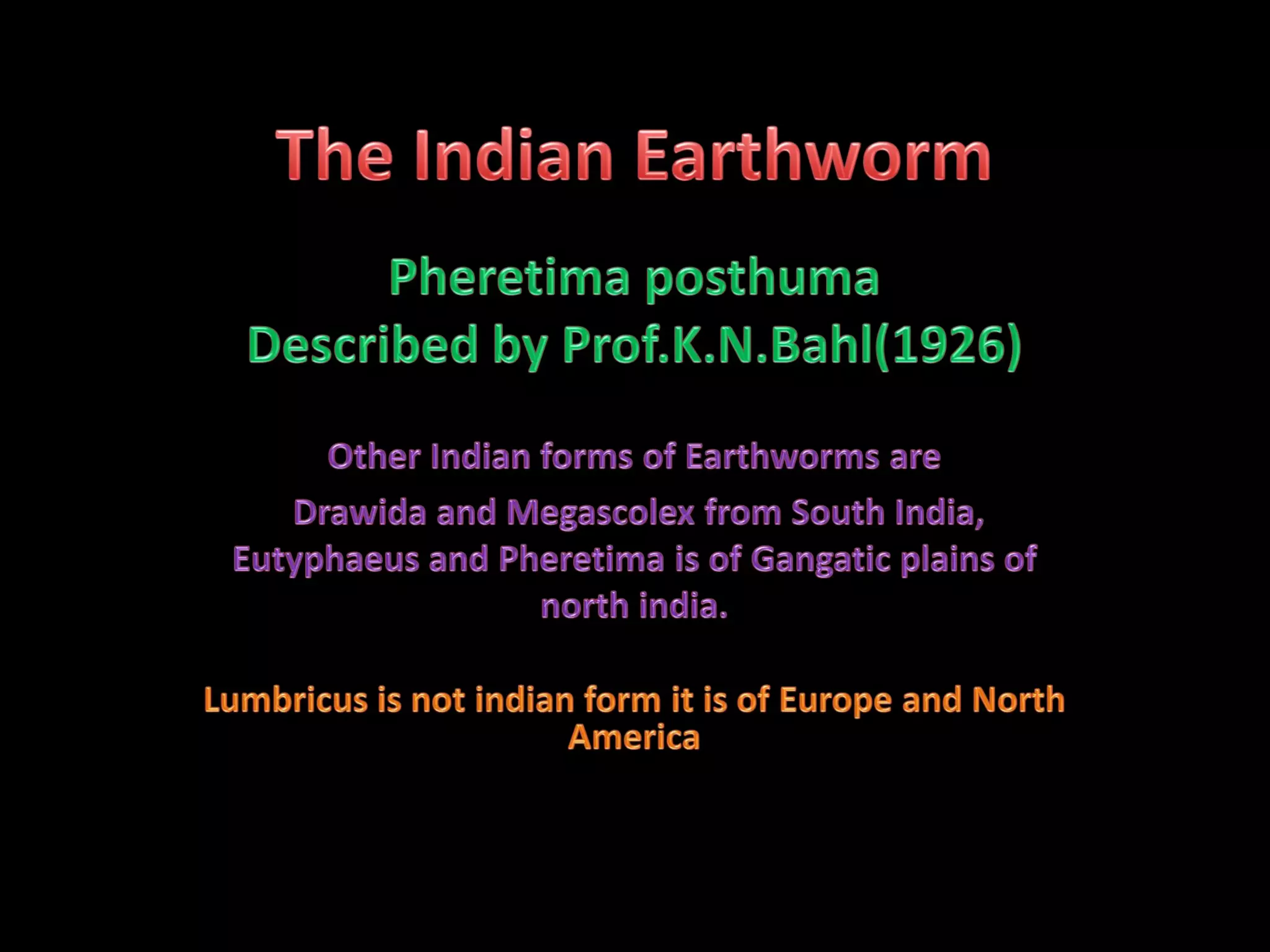 Indian Earthworm (Pheretima posthuma)ppt.pdf