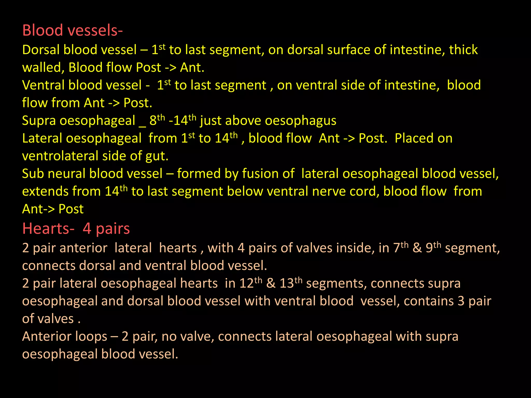 Indian Earthworm (Pheretima posthuma)ppt.pdf