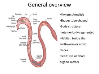 Earthworm presentation | PPTX