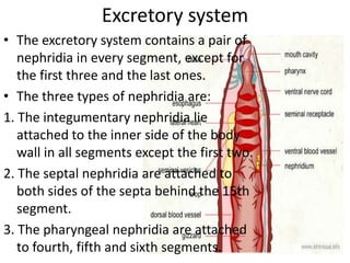 Earthworm presentation | PPTX