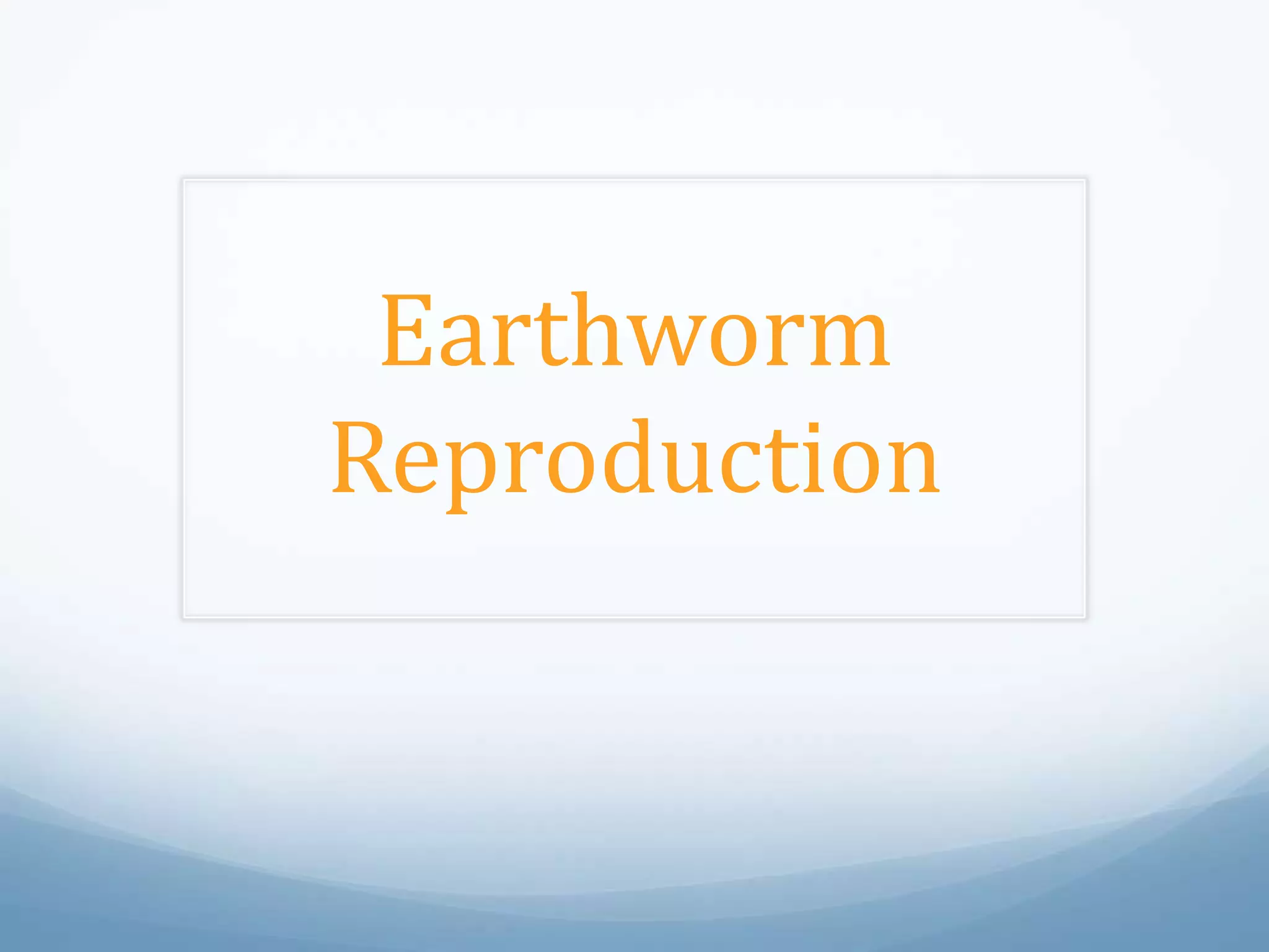 Earthworm Reproduction | PPTX