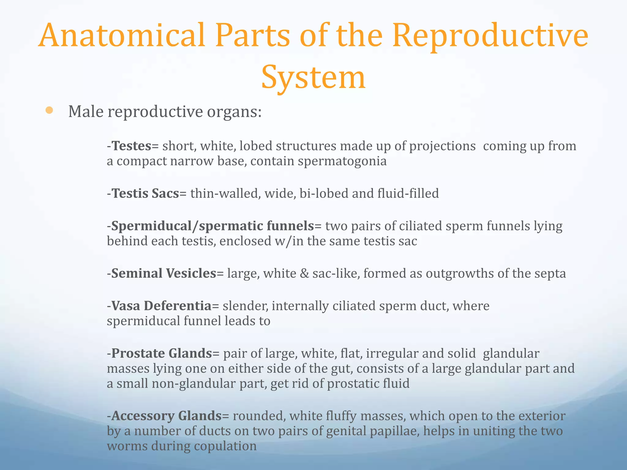 Earthworm Reproduction | PPTX