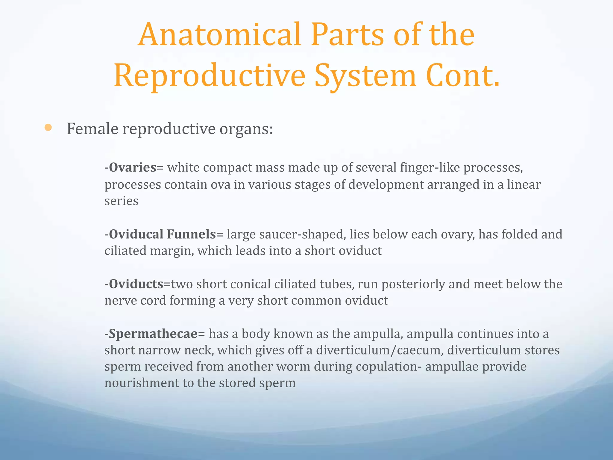Earthworm Reproduction | PPTX