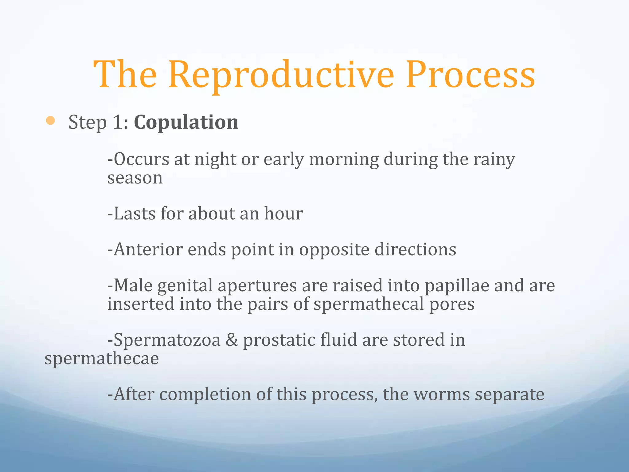 Earthworm Reproduction | PPTX