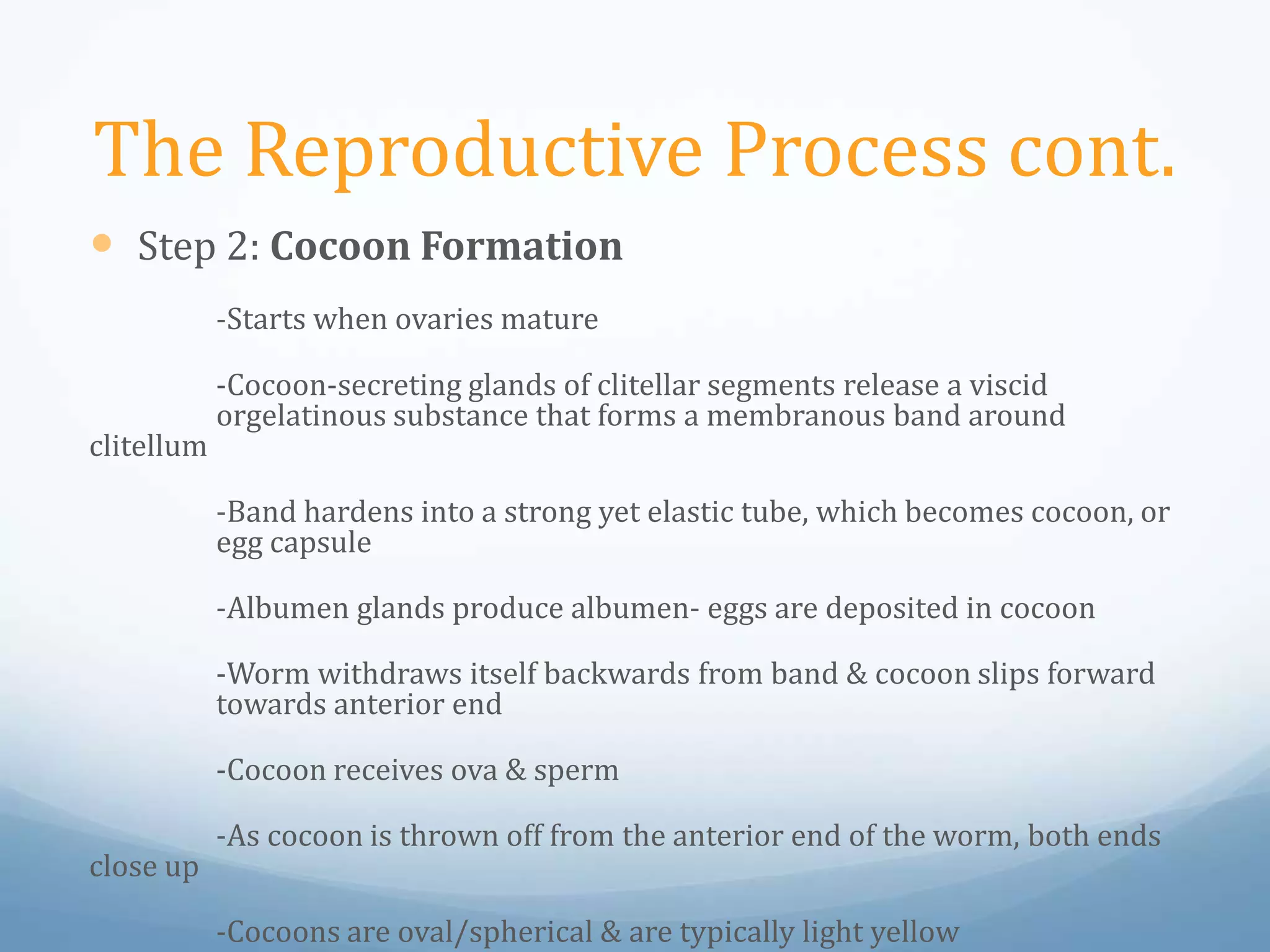 Earthworm Reproduction | PPTX