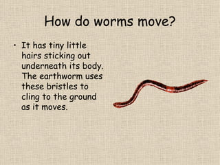 Earthworms | PPT