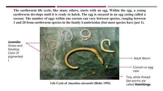 Earthworms.pptx