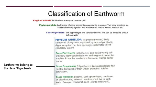 Earthworms.pptx