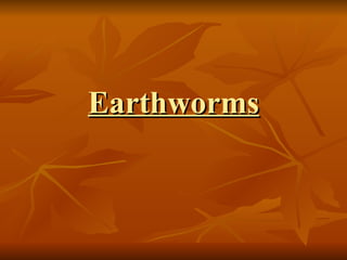 Earthworms[1] | PPT